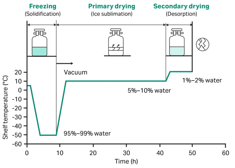 Freeze Dryer Lyophilization in Pharmaceutical Industry - Pharmapedia